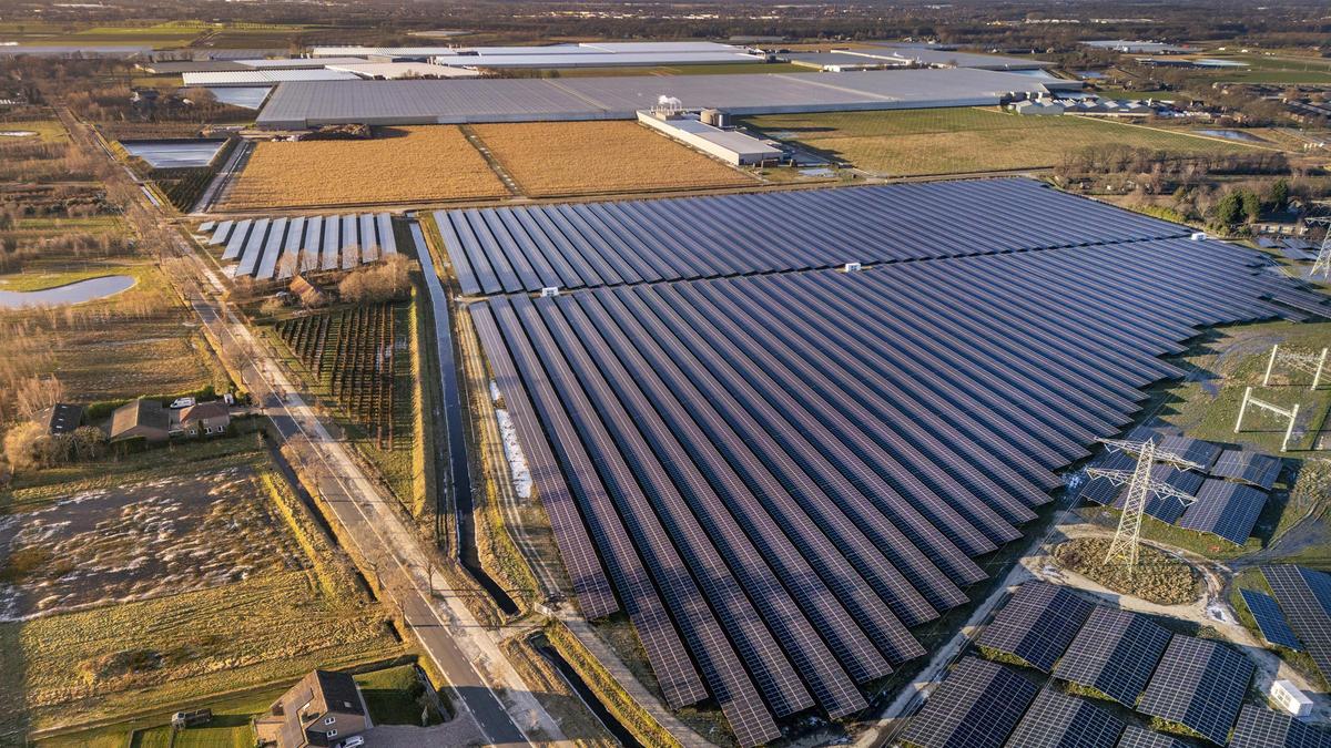 De dag dat de Californië-affaire ontplofte: ‘Tuinders hebben niet 14,5 ... De dag dat de Californië-affaire ontplofte: ‘Tuinders hebben niet 14,5 ...